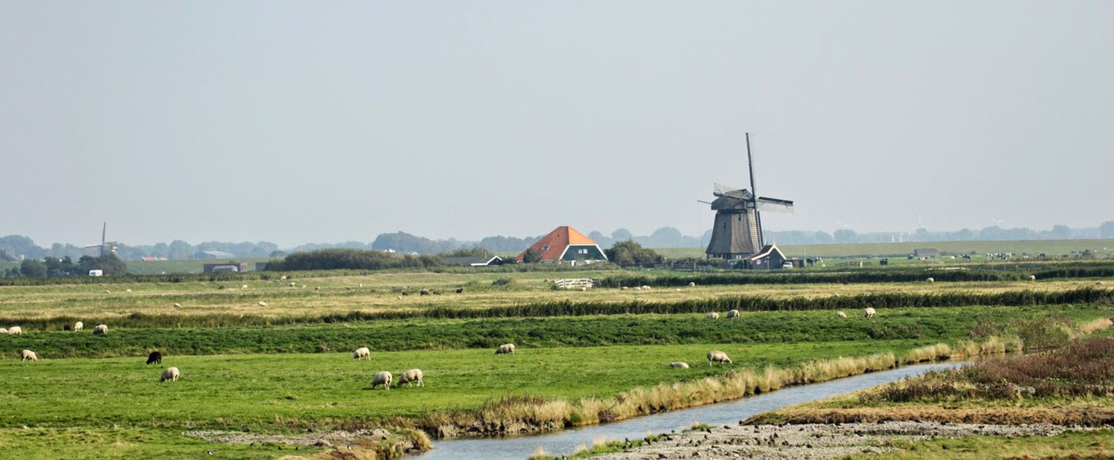 Gruppenunterkünfte in Flevoland